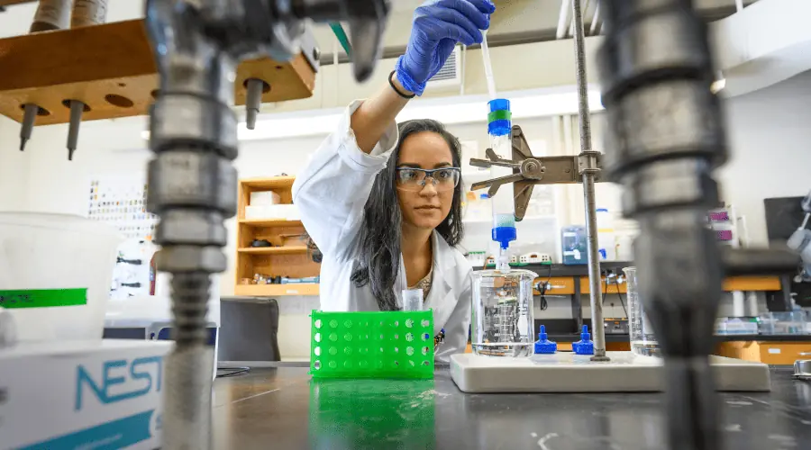 Does Undergraduate Research Count As Work Experience Academicful Does Undergraduate Research Count As Work Experience Academicful